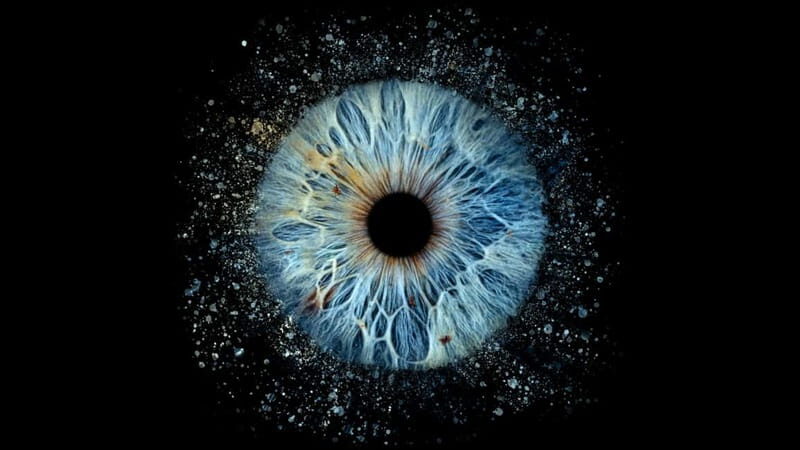 Deauville: Reveal the beauty of your iris with Iris Galerie - Why This Experience Is Worth Your Time
