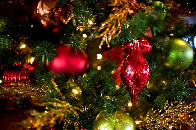 December Nights Dinner Cruise on San Diego Bay - The Authentic Experience and Real-World Feedback