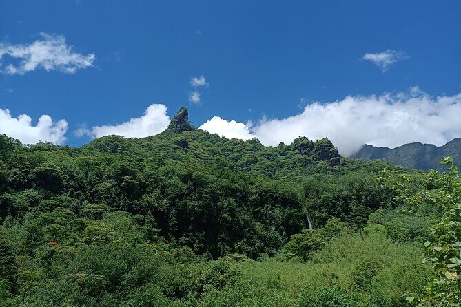 Découvrez le Mana durant la traversée de Tahiti en 4x4 Safari - Authentic Experiences and Reviewer Insights