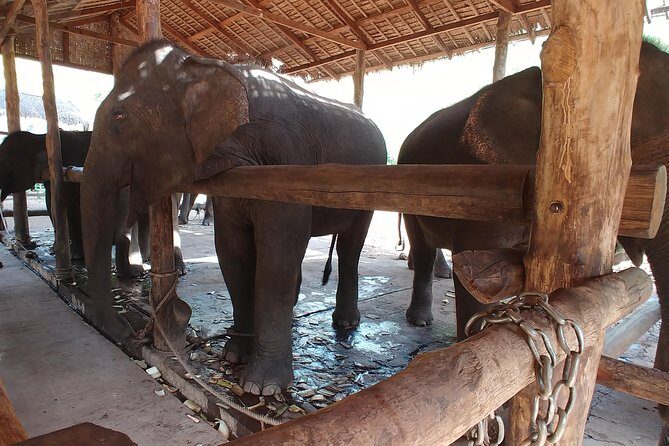 Dee Dote Waterfall and River Beach - FAQs about the Dee Dote Waterfall and River Beach Tour