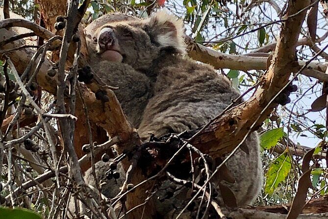 Deep Creek Hike: Trails and Tales with a Foreign Flair - A Deep Dive into the Deep Creek Experience