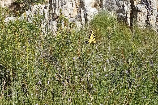 Deep Creek Hot Springs Adventure from Los Angeles - An In-Depth Look at the Deep Creek Hot Springs Tour