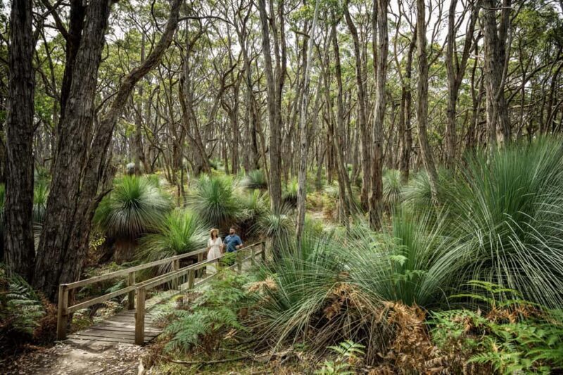 Deep Creek National Park: 4WD Adventure and Native Food Tour - What Makes This Tour Stand Out?