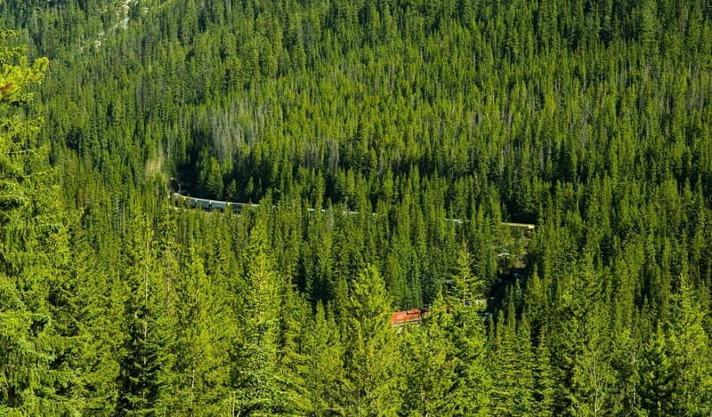 Deep Day Tour to Emerald, Moraine, Louise Lake, J. Canyon... - Who Will Love This Tour?