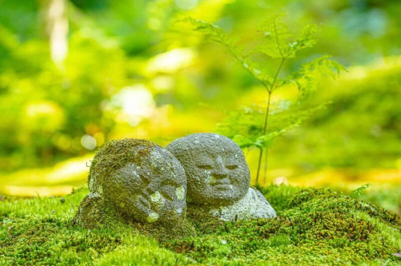 Deep Kyoto: Local Cuisine, Tranquil Temples on Premium Bus - Returning with Rich Memories