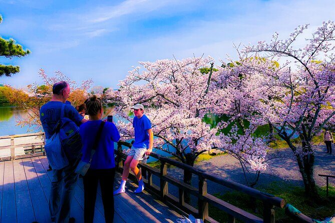 Deep Kyoto Tour in Private Van - guided by Local Expert - The Sum Up: Who Will Love This Tour?