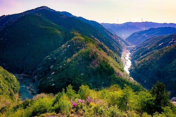 Deep Kyoto Tour in Private Van - guided by Local Expert - FAQ