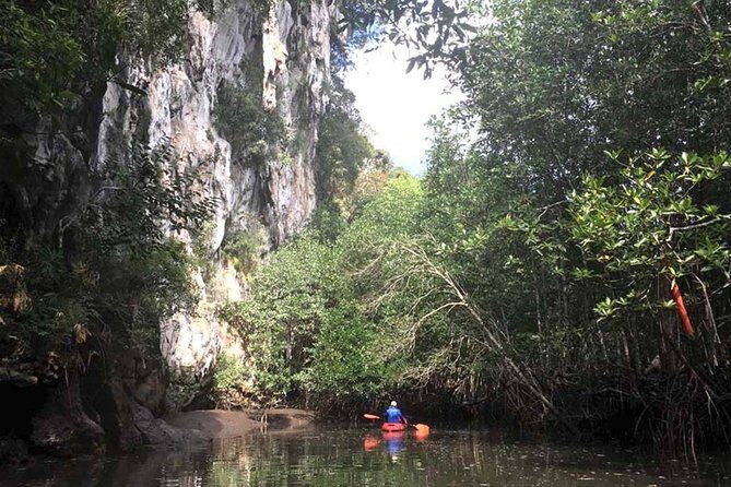 Deep Mangrove and Canyon Kayak Tour in Krabi - Who Will Love This Tour?