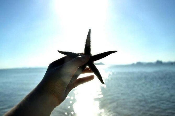 Deep Mangrove and Canyon Kayak Tour in Krabi - FAQs