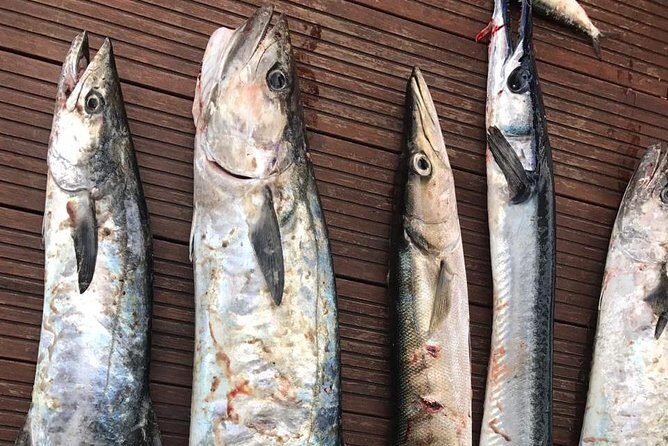 Deep sea big game fishing voyage  Hikkaduwa - What makes this tour stand out