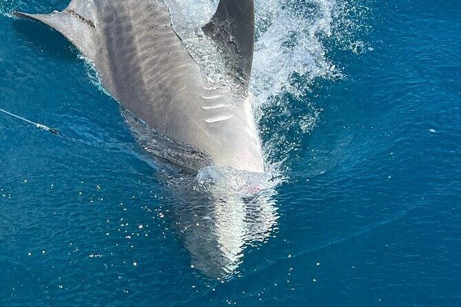 Deep sea fishing charters in Fort Lauderdale aboard 52' Hatteras - Wrapping It Up