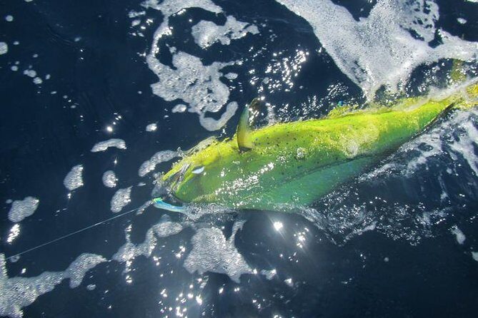 Deep Sea Fishing for 5 Hours from Cabo San Lucas - FAQ: Practical Questions Answered