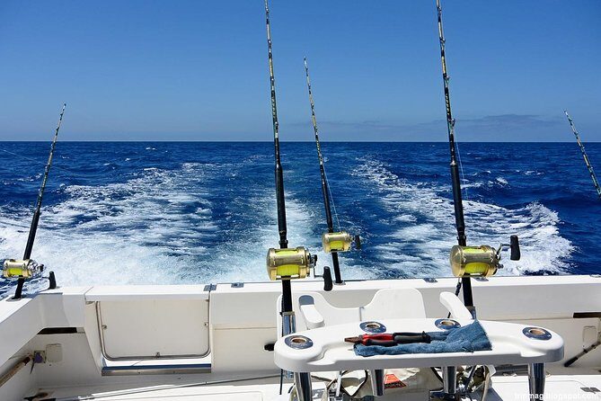 Deep Sea Fishing Tour - What to Expect From the Tour