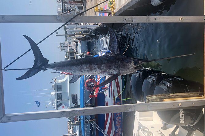 Deep Sea Private Trip on the Deep Obsession - Introduction: Is the Deep Obsession Trip Right for You?