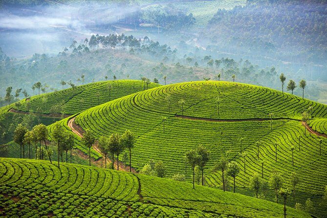 Deep South of India - Kerala and Tamil Nadul - An In-Depth Look at the Itinerary