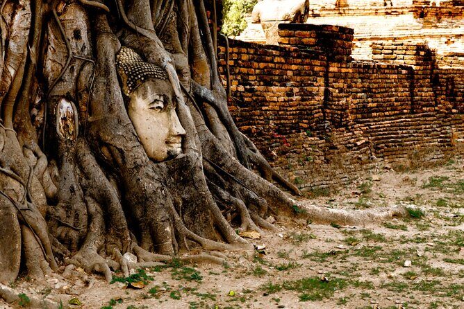 Definitive tour of 4 ancient capitals Ayutthaya ruins in Japanese - Who Will Love This Tour?