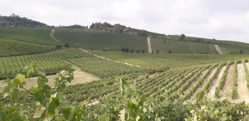 Degustazione di vini del Monferrato con visita della cantina - Key Points