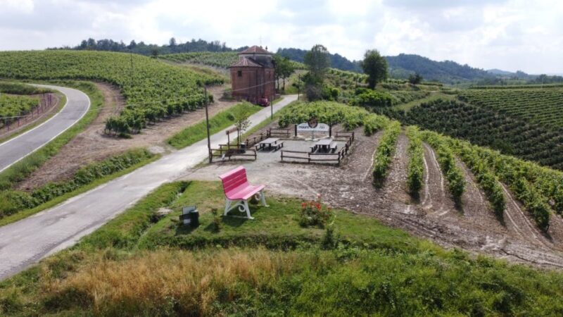 Degustazione di vini del Monferrato con visita della cantina - An Introduction to the Experience
