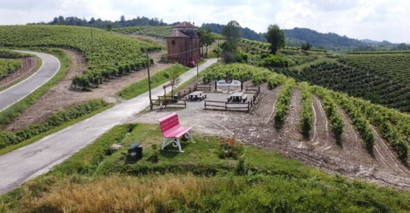 Degustazione di vini del Monferrato con visita della cantina - The Wines and Food Pairings