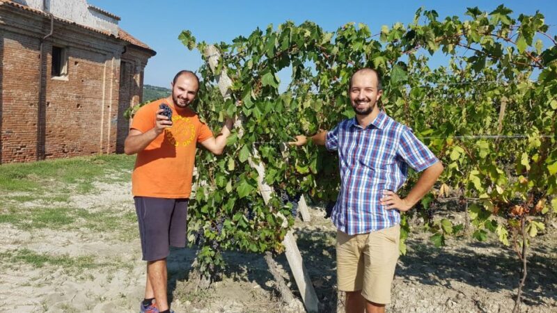 Degustazione di vini del Monferrato con visita della cantina - Why This Tour Stands Out