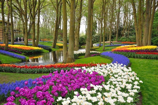 Delft and Keukenhof Gardens Tour from Brussels - The Full Experience: What to Expect