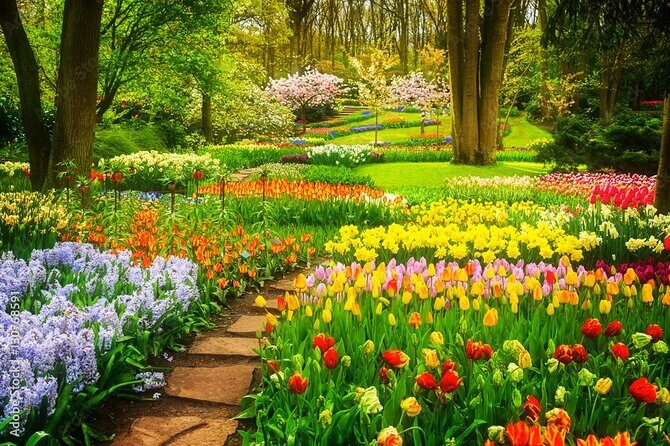Delft and Keukenhof Gardens Tour from Brussels - Who is This Tour Best Suited For?