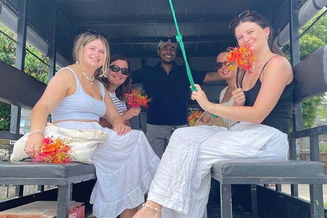 Delft Island Guided Tour Discover the Beauty and Culture - The Basic Facts and Why They Matter