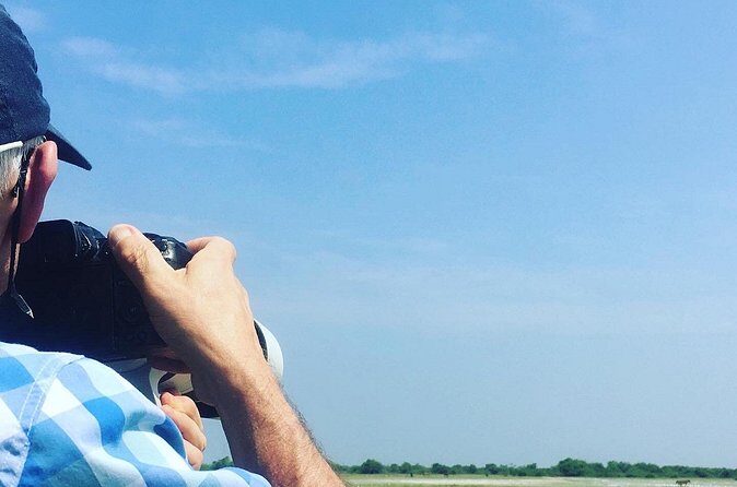 Delft Island Guided Tour Discover the Beauty and Culture - Who Is This Tour Best For?