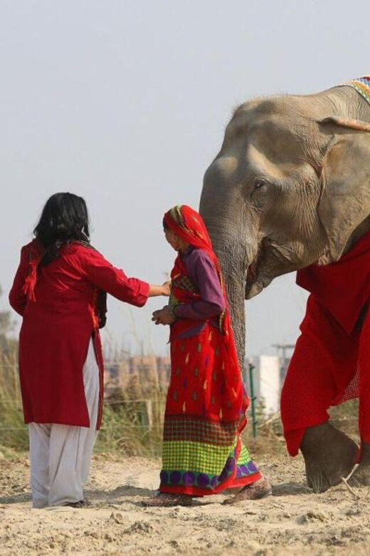 Delhi: 3Day Golden Triangle with Elephant SOS (5 Star Hotel) - Day 1: Delhi - The Capital’s Historic Charm