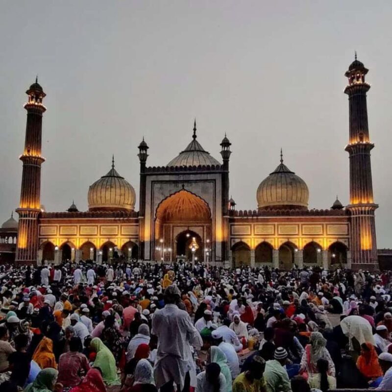 Delhi: 4 Hours Half Day Tour (Old Delhi or New Delhi) - Who Will Get the Most Out of This Tour?