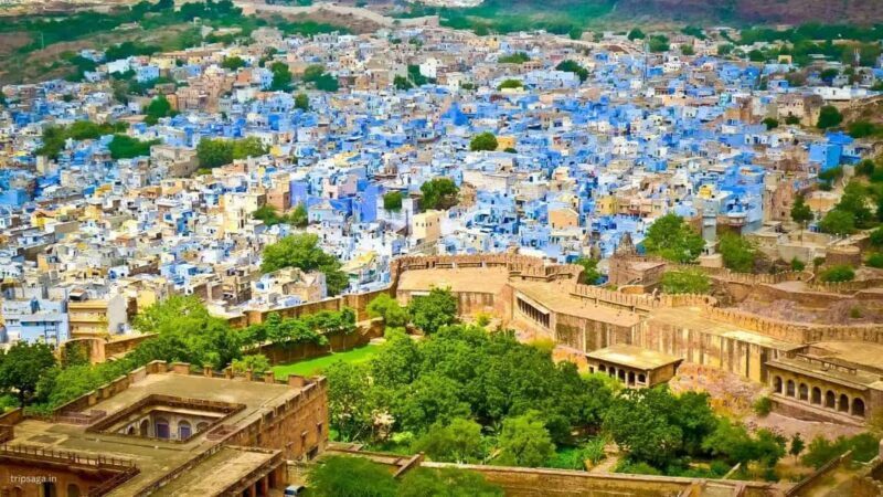 Delhi: 6Day Golden Triangle with Jodhpur & Udaipur(5* Hotel) - Key Points
