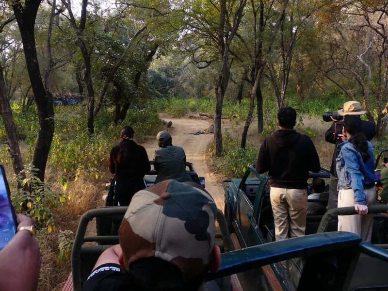 Delhi: 7 Days Golden Triangle with Tiger safari & Varanasi - Wildlife Adventure at Ranthambore