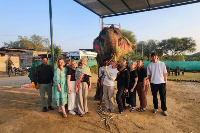 Delhi - Agra - Jaipur 3 Day Tour - Day 1: From Delhi to Agra via the Capital’s Highlights