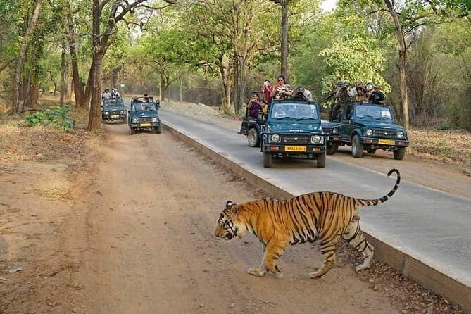 Delhi Agra Jaipur 5 Days Golden Triangle Tour With Ranthambore - Key Points