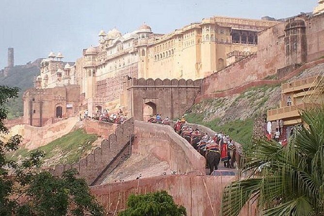 Delhi Agra Jaipur Tour with Ranthambore Wildlife Safari - An In-Depth Review of the Delhi, Agra, Jaipur & Ranthambore Tour