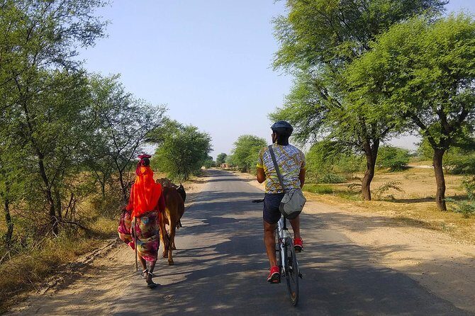 Delhi- Agra Long Distance Bicycle Trip - A Closer Look at the Tour Experience