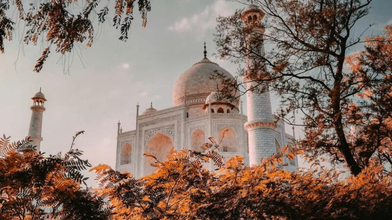 Delhi Airport to Taj Mahal Tour Instant Booking - An In-Depth Look at the Taj Mahal Day Trip