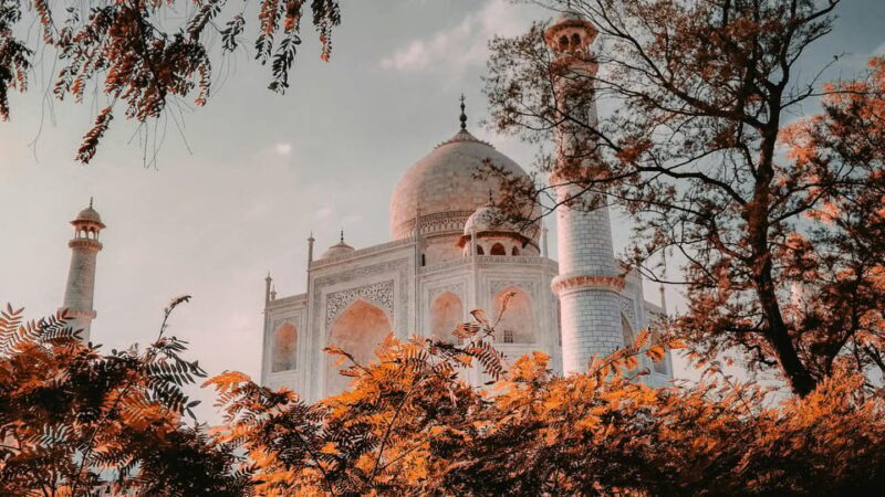 Delhi Airport to Taj Mahal Tour Instant Booking - Final Words