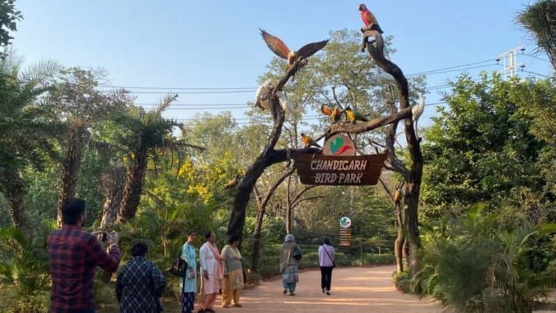 Delhi: Chandigarh 3-Day Tour with Hotel and Transfers - The Journey from Delhi to Chandigarh: Comfort and Convenience