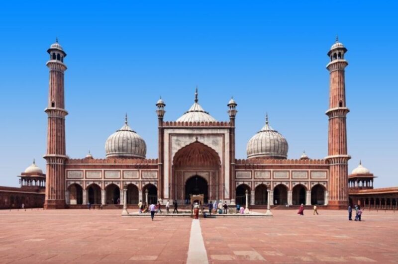 Delhi day tour with tour guide - Real Insights from Traveler Feedback
