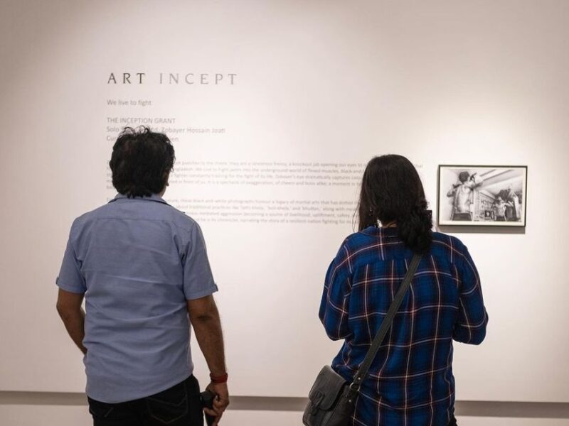 Delhi: Explore Delhi's Street Art & Visit to an Art Centre - Practical Details and Tips