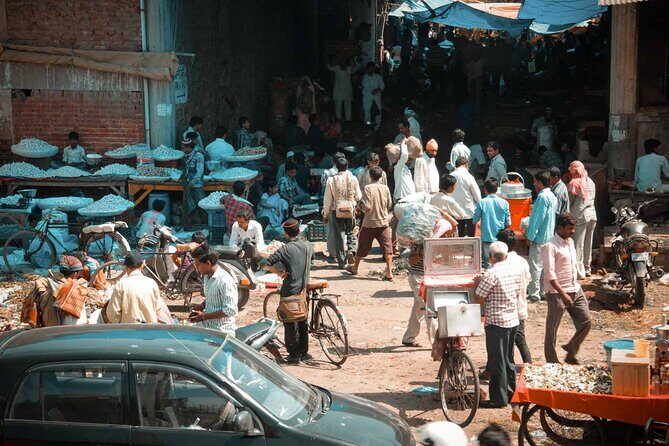 Delhi Full Day Sightseeing by Car - Final Thoughts