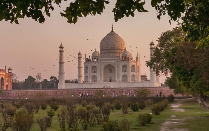 Delhi: full day Taj Mahal, Agra tour with 5*lunch & transfer - What Makes This Tour Stand Out