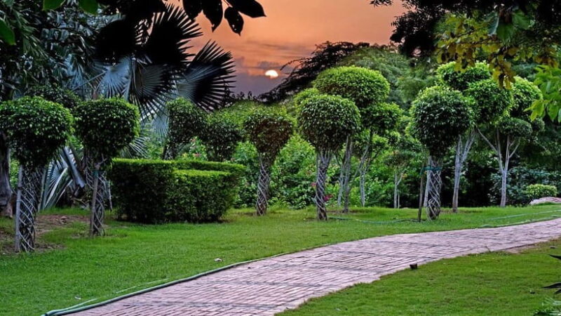 Delhi: Garden of Five Senses Guided Tour with Pickup - Key Points