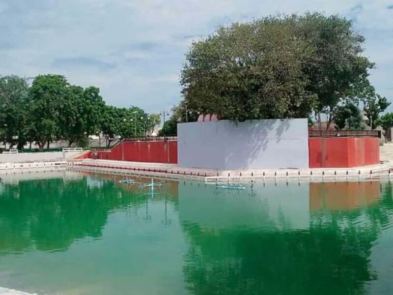 Delhi: Guided Shopping Tour Experience Local Expert Guide - Detailed Breakdown of the Experience