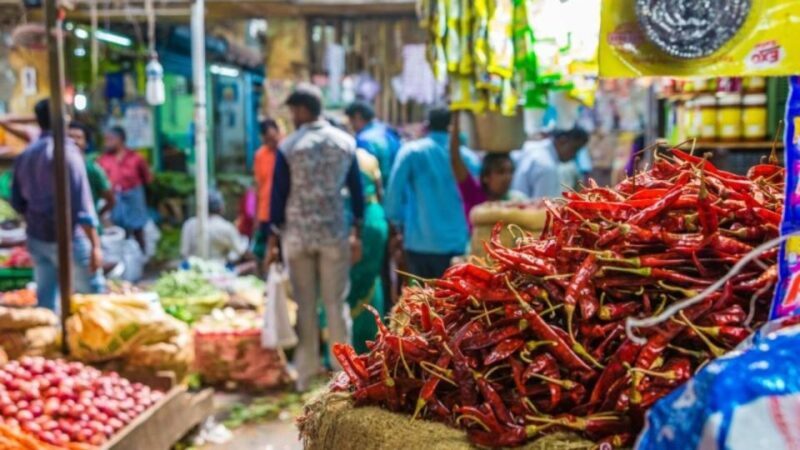 Delhi: Half day Shopping tour with guide by car. - What To Expect on the Tour