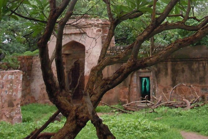Delhi Haunted and Creepy Ruins Discovery - An Introduction to the Haunted Ruins of Delhi