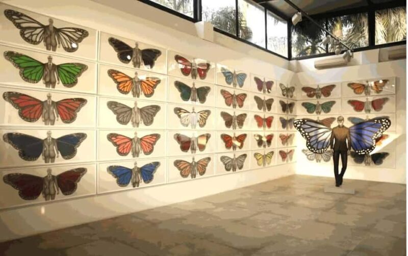 Delhi: Hidden Art Gallery Tour - The Sum Up