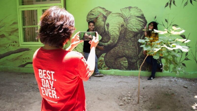 Delhi Hidden Gems Tour: Art, History & Heritage Parks - An In-Depth Look at the Itinerary and Highlights