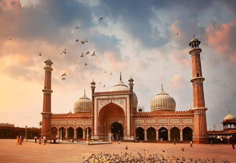 Delhi: Old and New Delhi City Private Guided Day Tour by car - The Transport and Guide: Comfort and Insight